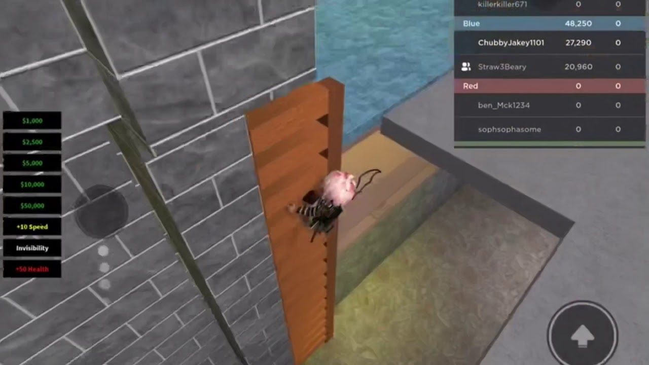 Completed Wizard Tycoon 2 Player (Process + Tour) Ft. StrawBerry Plays ...