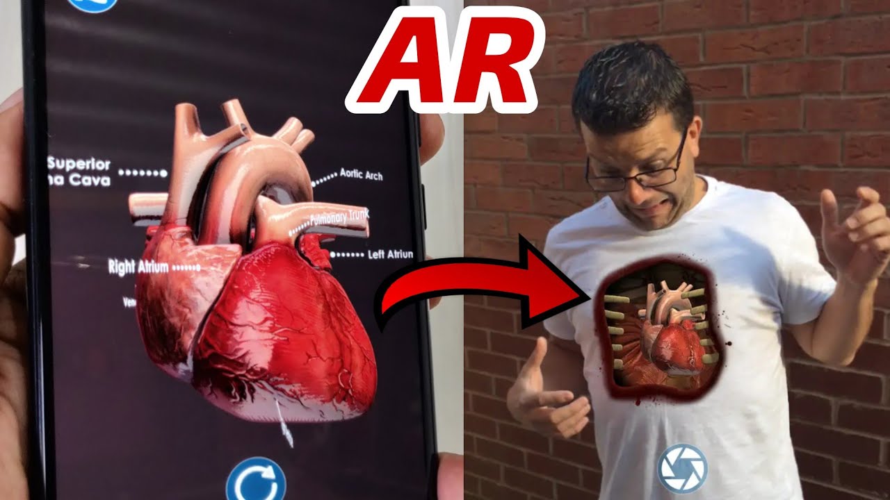 Explore And Learn Augmented Reality (AR) Heart - YouTube