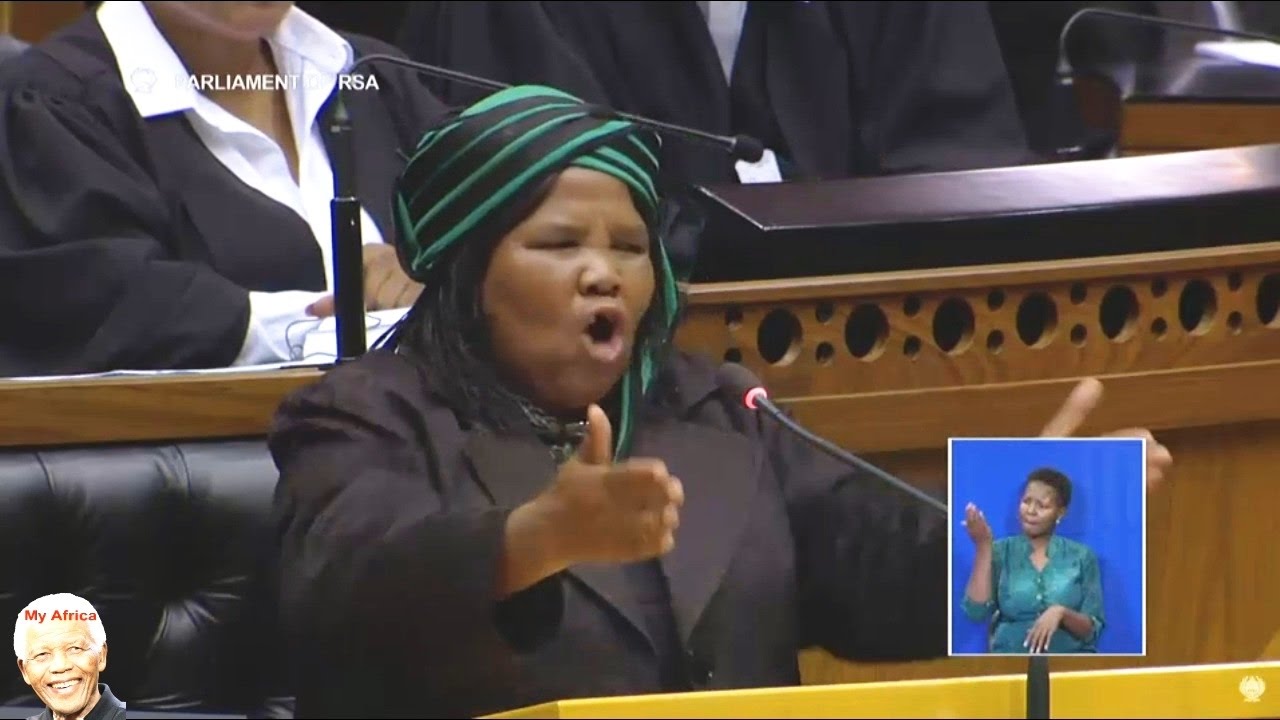 What is She Talking About? ANC Hon RN Capa Protecting Min Dlamini - YouTube