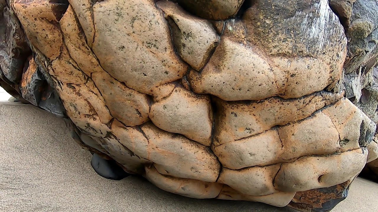 Mudfossil Membrane; Separating Biology - YouTube