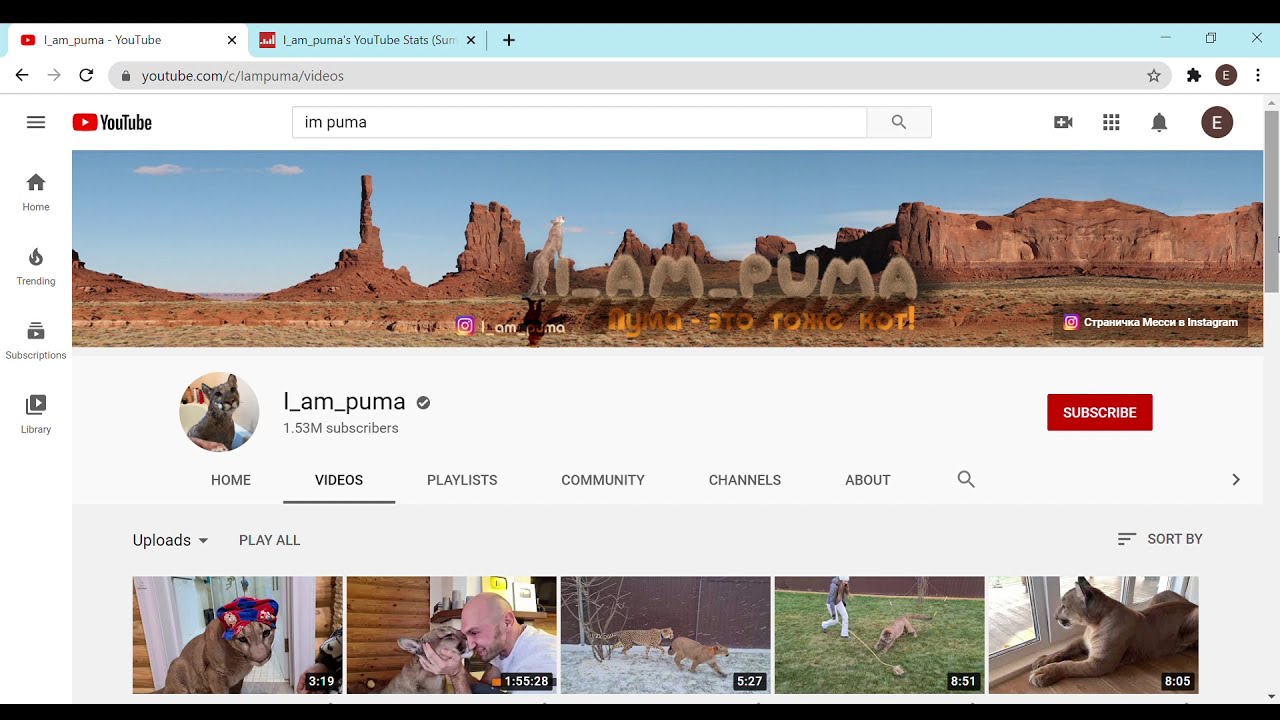 I am puma, обзор канала , сколько зарабатывает канал на YouTube ...