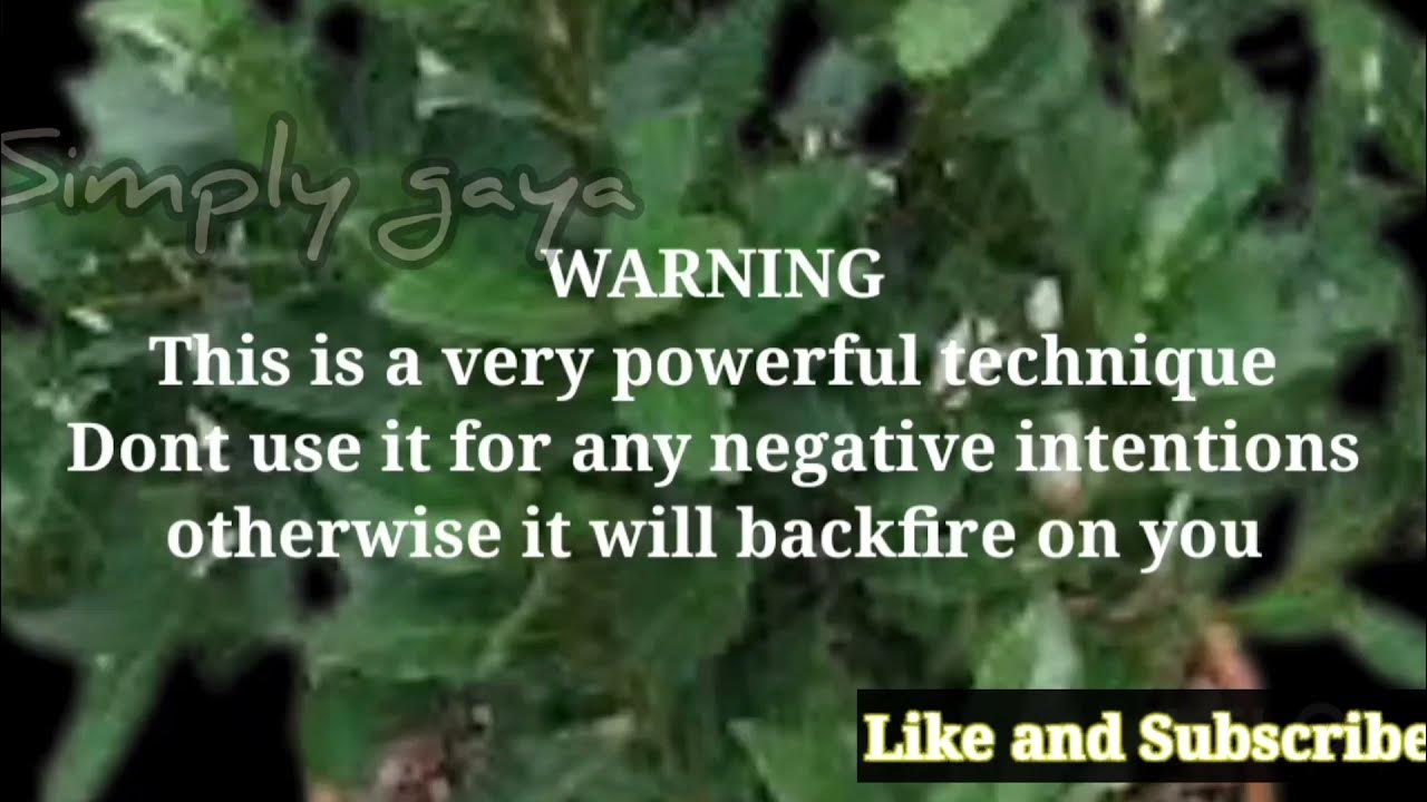 How to burn bay leaves to attract money, love and prosperity - YouTube