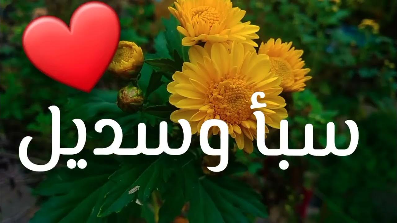 أغنية إسم سبأ وسديل #سبأ #سديل - YouTube