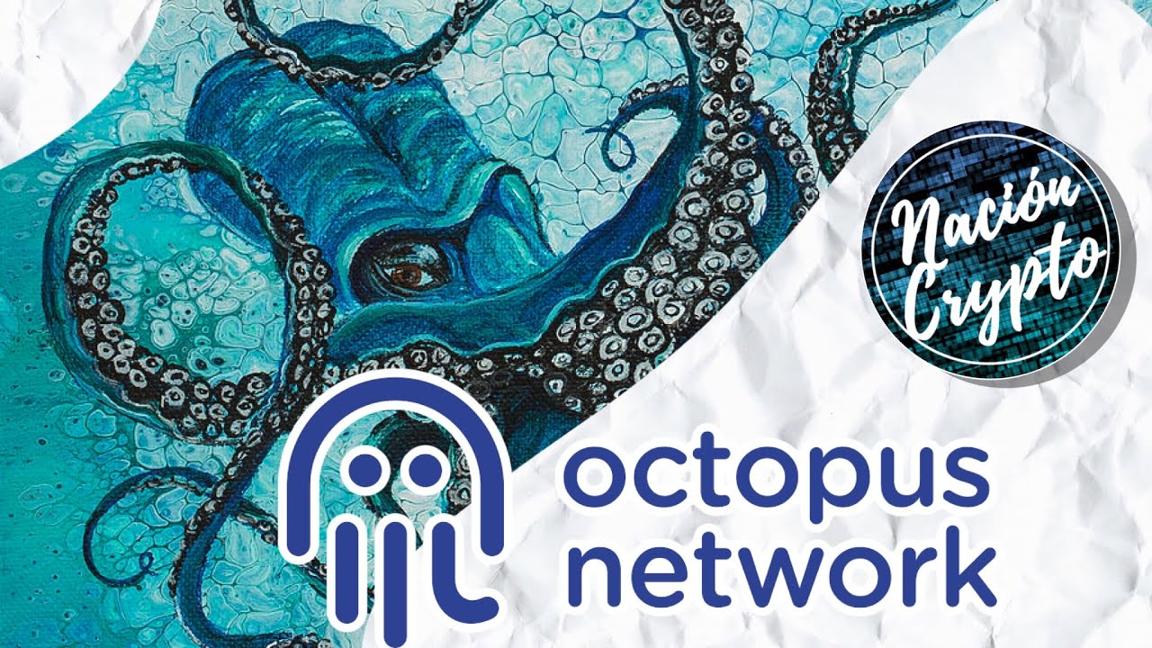 octopus network en español (Giveaway) - YouTube