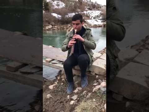 GULE DERSİM / CEM ÇELİK