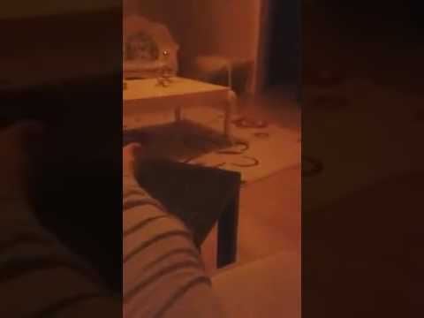Hala Bizim Ailede Vampir Varmı  :DD