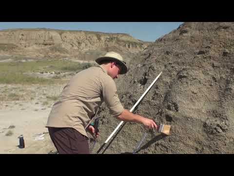 What do Geologists do? - YouTube