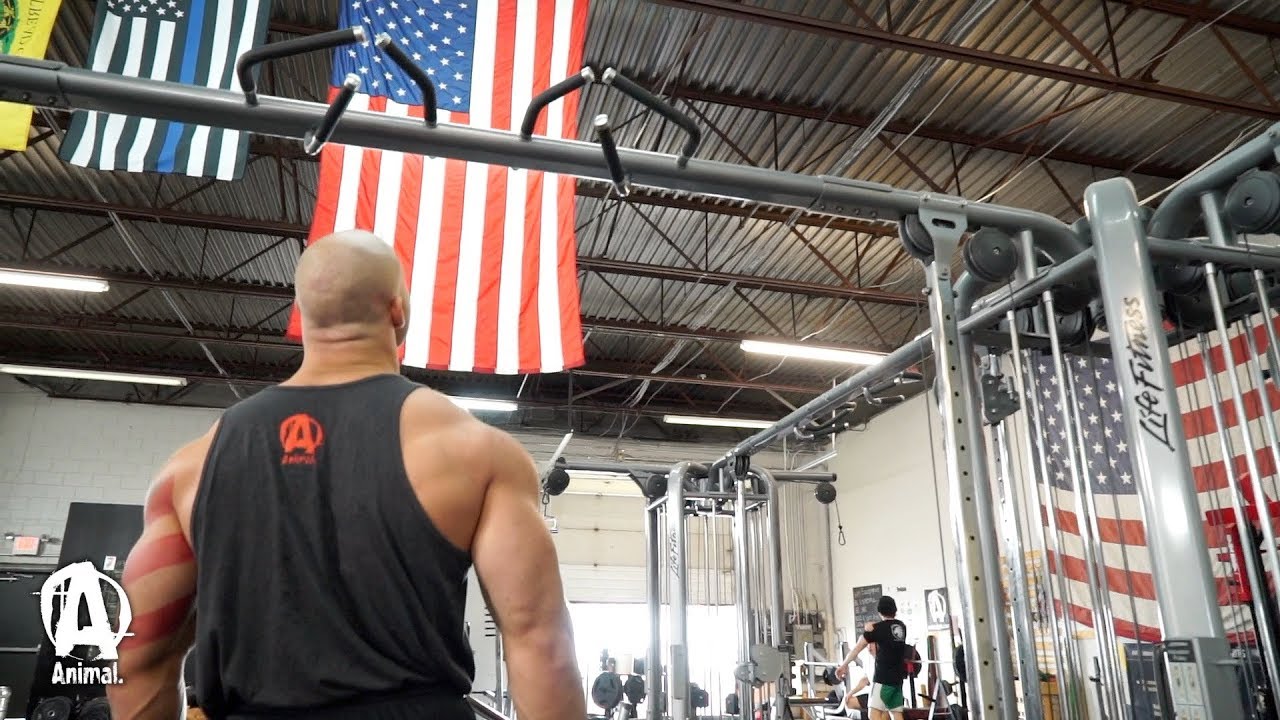 Animal Military presents: "The Will to Everything" with Danny Jakab ...