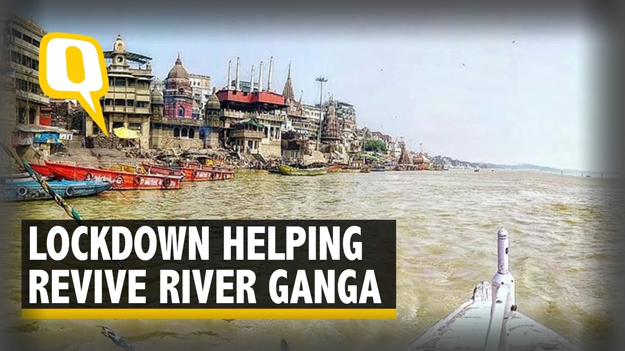 Amid COVID-19 Lockdown, Health of River Ganga Improves | The Quint ...