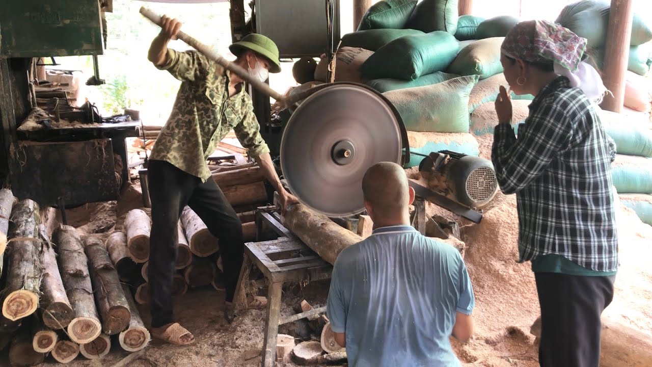 Dangerous With Very Sharp Saw Blades And Wood Splinters #woodworking # ...