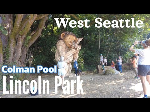 🇺🇸 Driftwood Sculpture, Lincoln Park in West Seattle, heated saltwater ...