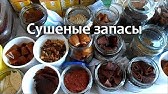 🍒Готовим сухофрукты-шесть видов- в сушилке TRAVOLA - YouTube