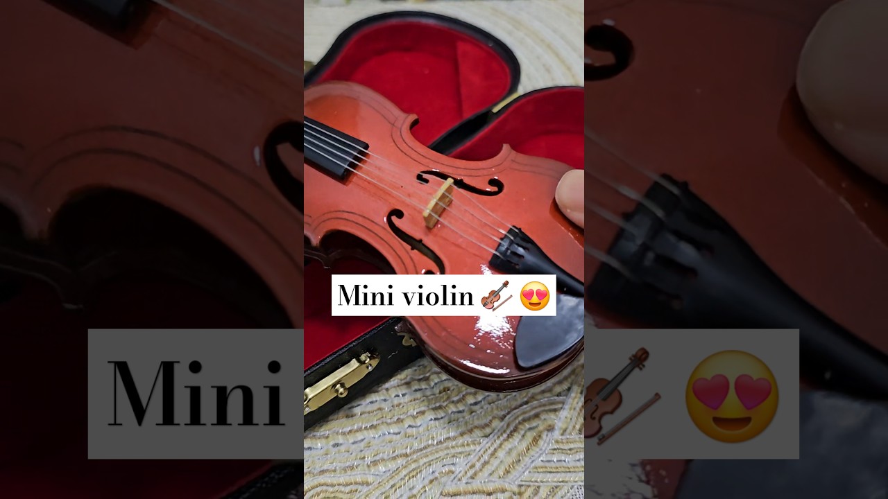 Cute little violin 🎻 😍 #violin #miniviolin #musiclover #classy # ...