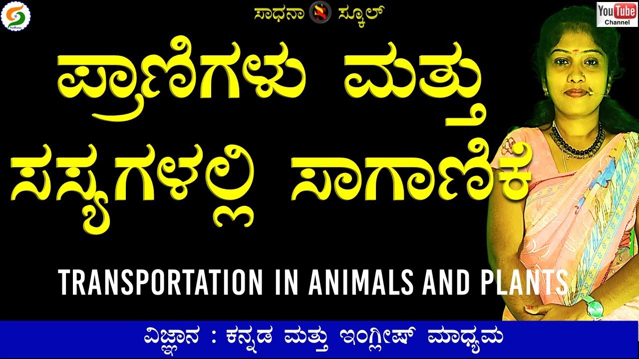 Transportation in Animals and Plants|ಏಳನೆ ತರಗತಿ |Science| Chapter-11 ...