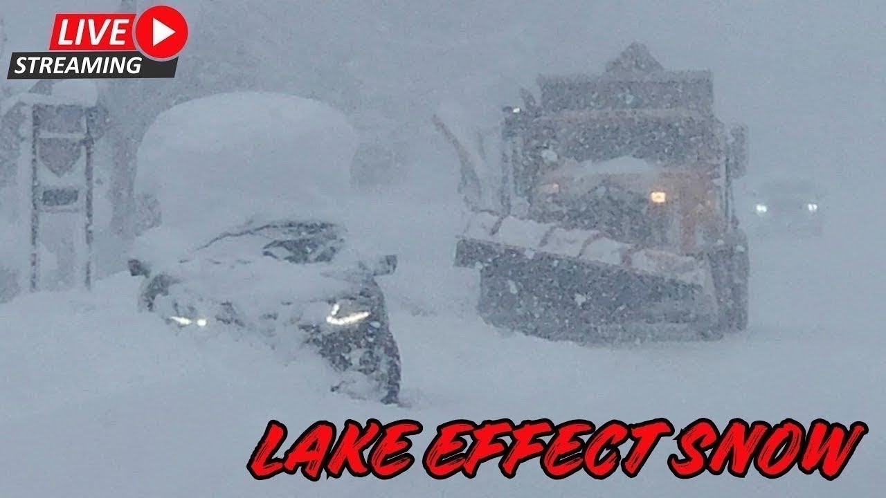 Live Lake Effect Snow Coverage - YouTube