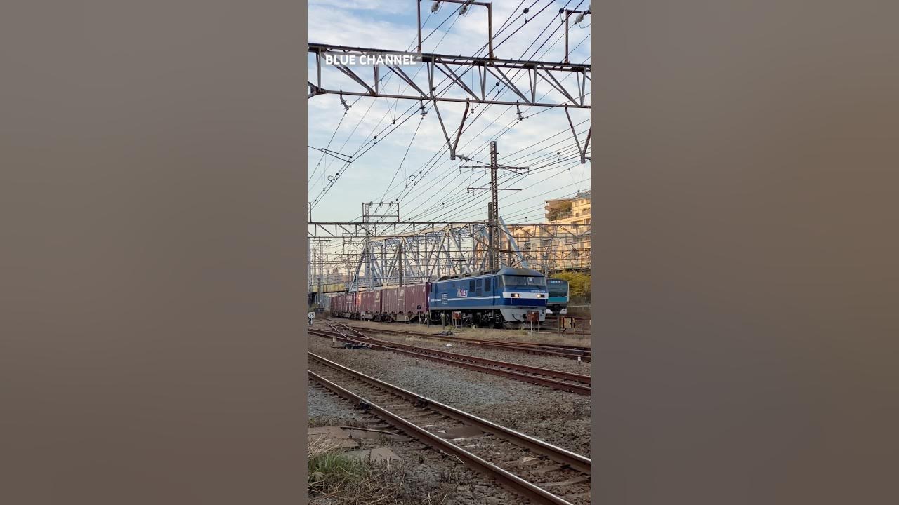 (貨物列車) 2024/12/04 3074レ EF210-124 + コキ20B (+80分) (名古屋タ〜札幌タ) #Shorts - YouTube