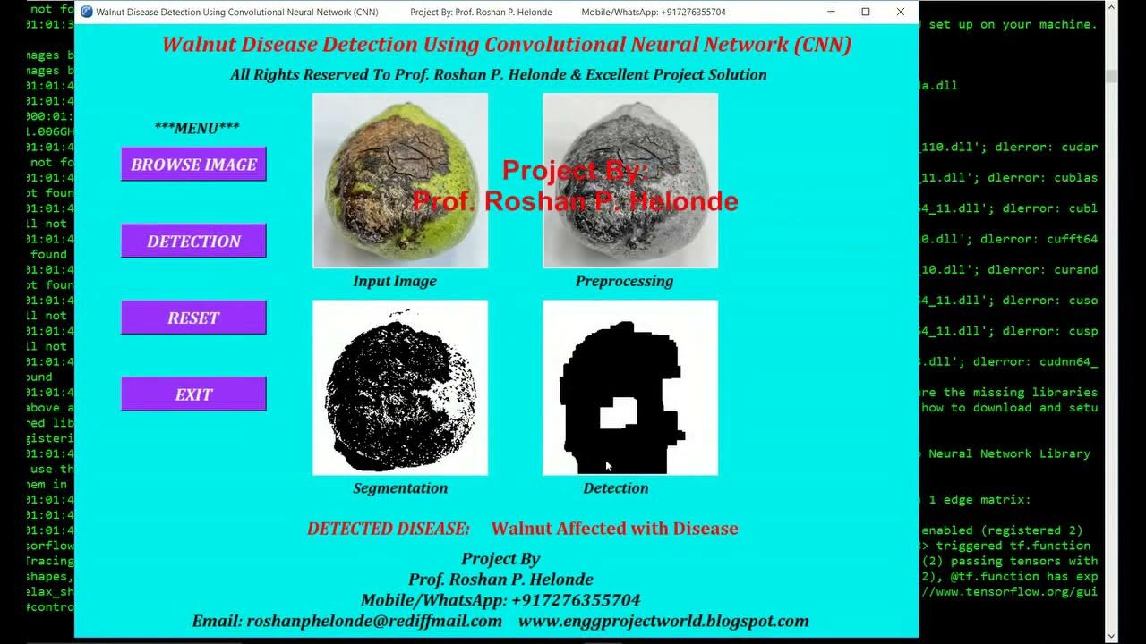 Python OpenCV Keras Project on Walnut Disease Detection Using CNN | with Source Code - YouTube