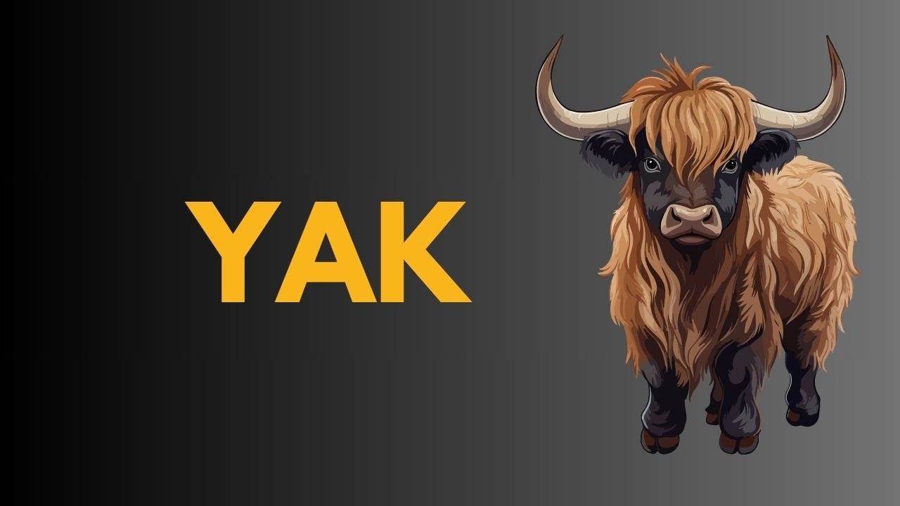 What Does yak Means || Meanings And Definitions With yak in learn ...