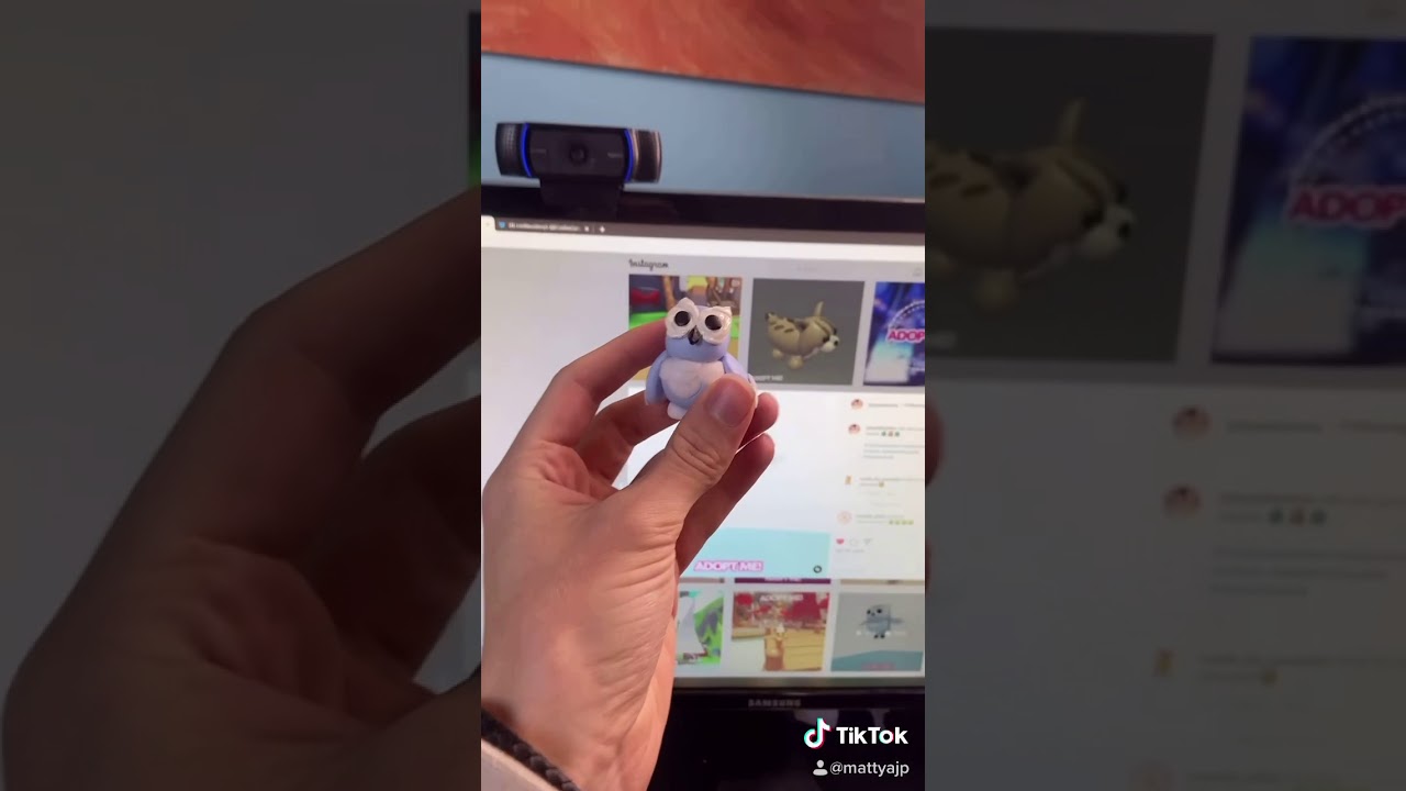 Adopt Me Snow Owl Figure In Real Life! (Custom adopt me painted clay ...