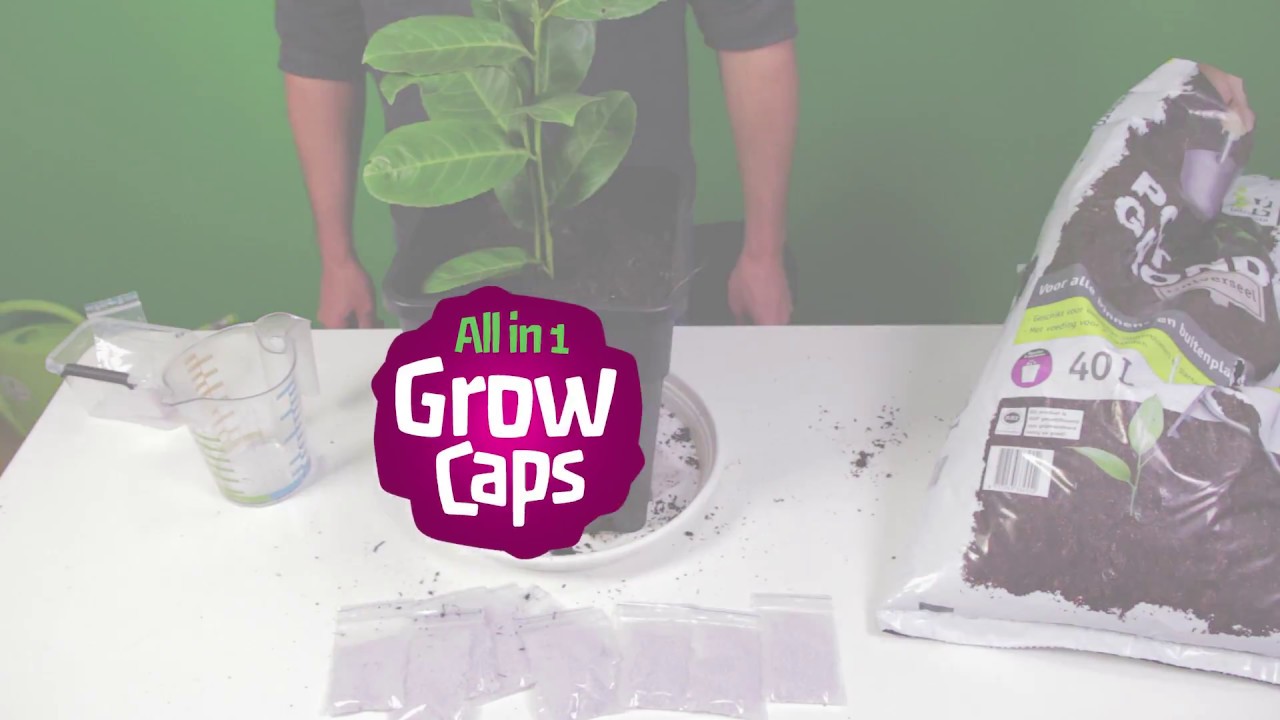 GrowCaps - How to Use - YouTube