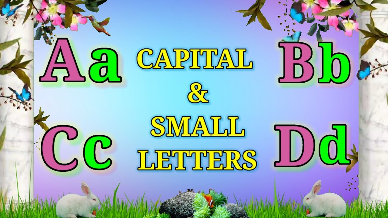 Capital and Small Letters | Small and Capital Letters | a b c d ...