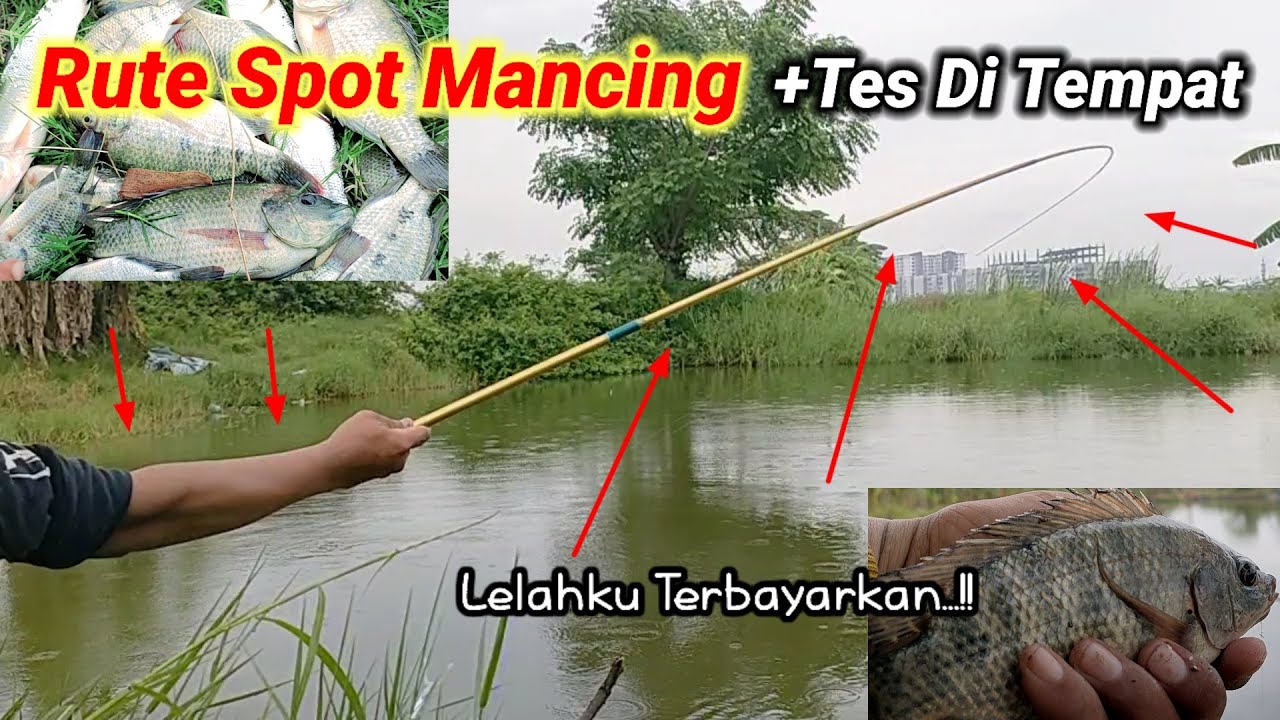 Rute Mancing ll Mancing Tambak Harian Isinya Babon Togh ...