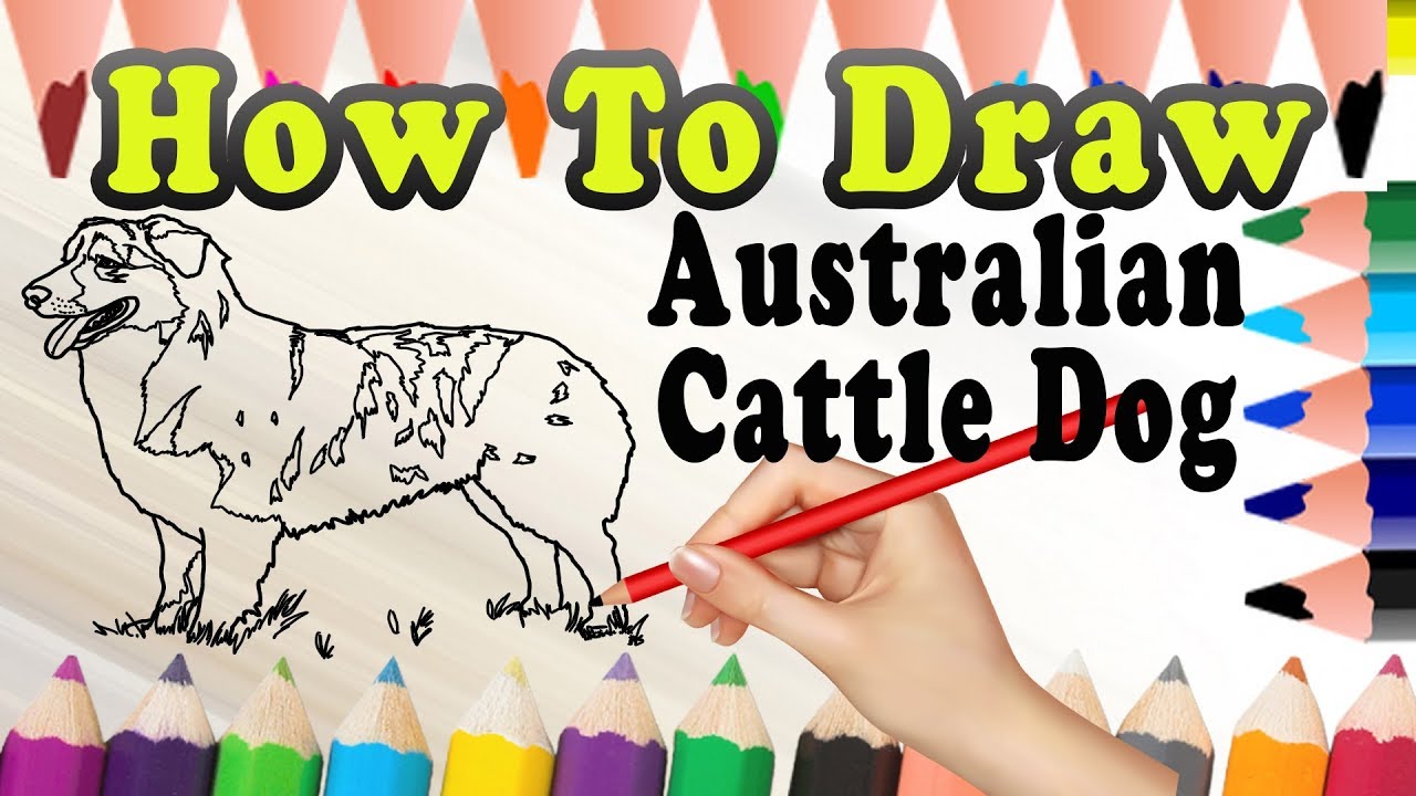 How To Draw A Dog Australian Cattle Dog | Easy dog drawing Tutorial ...