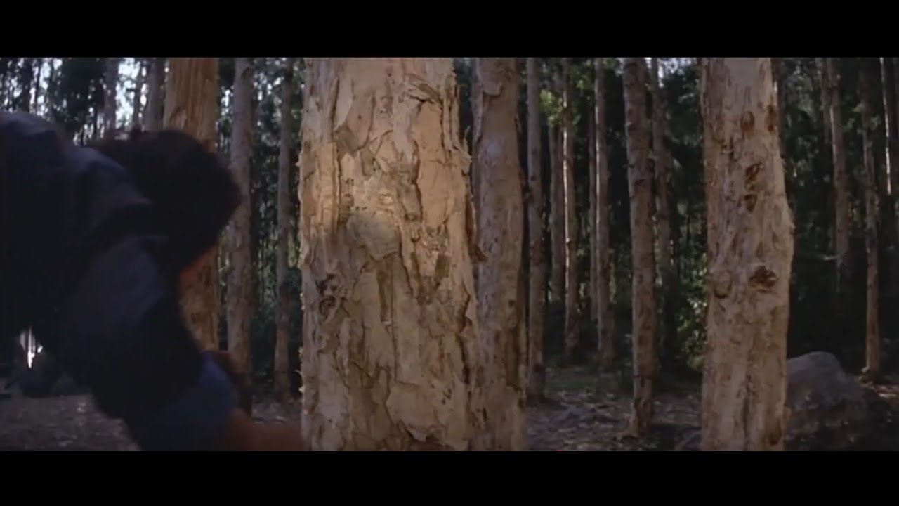 King Boxer 1972 - Thrown Head First Through Tree - YouTube