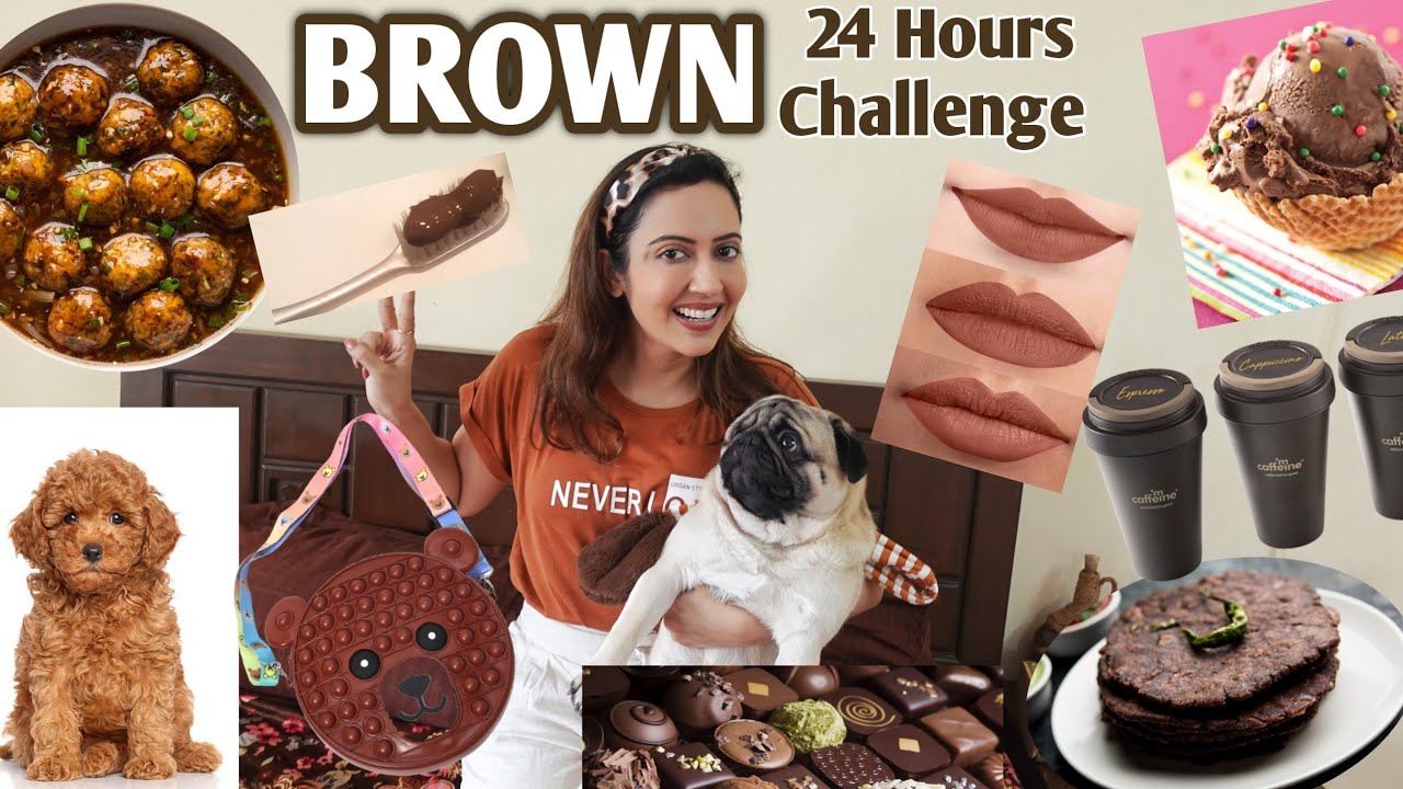 I Used Only BROWN Things For 24 Hours | Most Requested Challenge ...