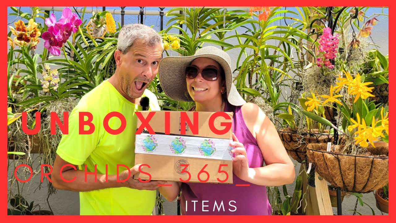 Unboxing Orchid Mounts from Orchids_365_. How we mount orchids. - YouTube