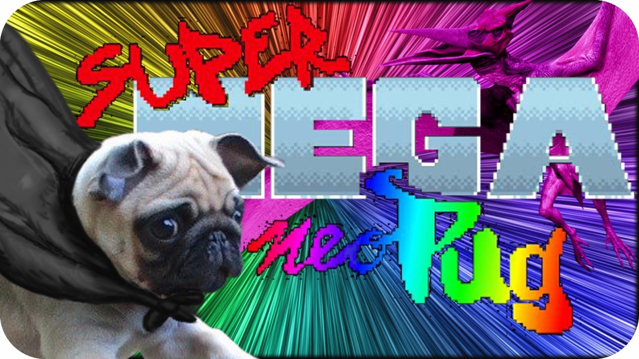 HAVE NO FEAR, SUPER MOMO IS HERE | Super Mega Neo Pug [German/HD] - YouTube