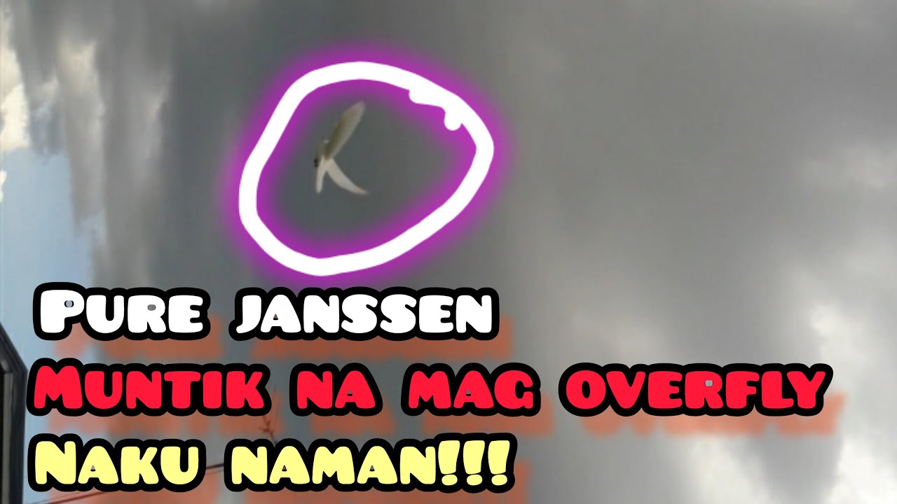 PURE JANSSEN MUNTIK NA MAG OVER FLY - YouTube