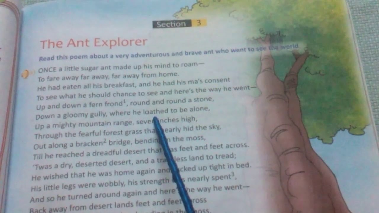 The Ant Explorer //Class VI (Poem by C.J Dennis) - YouTube