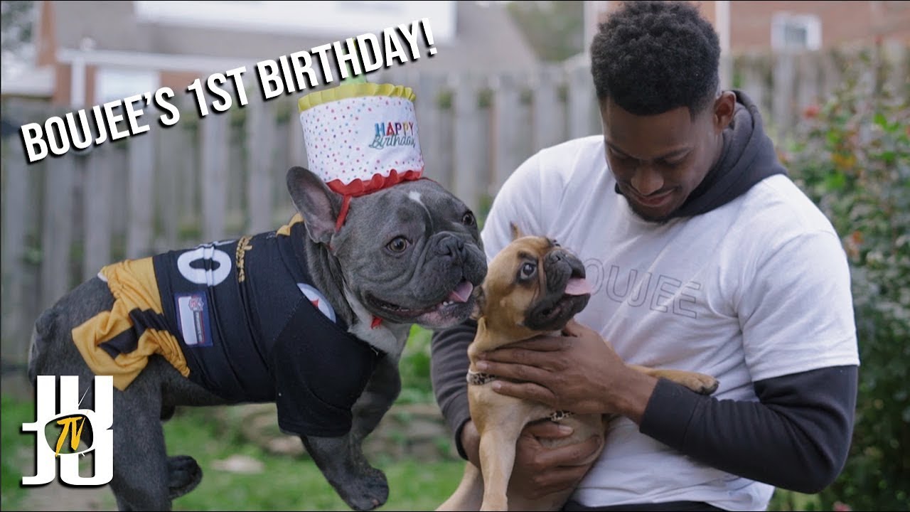 Boujee's First Birthday Party! - YouTube