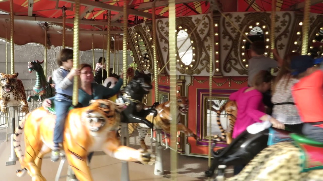 Phoenix ZOO carousel - YouTube