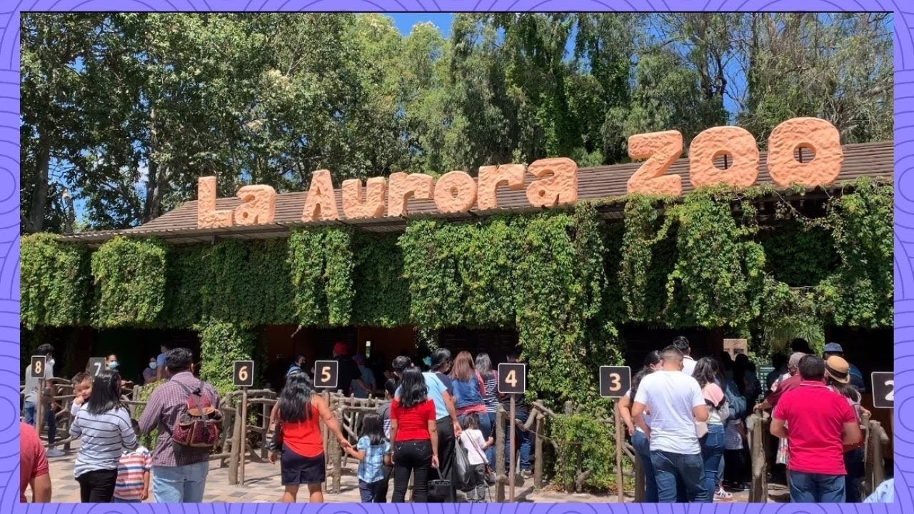 LA AURORA ZOO GUATEMALA - RECORRIDO 2021🦁🐨🐵 - YouTube