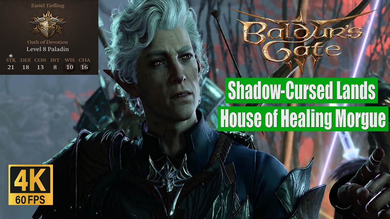 Baldur's Gate 3 Walkthrough Shadow Cursed Lands House of Healing Morgue ...