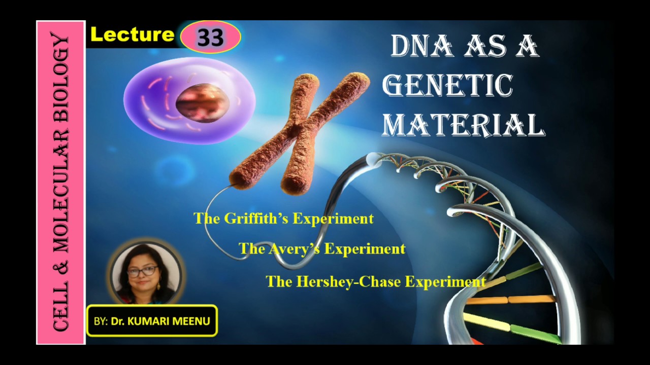 DNA:AS A GENETIC MATERIAL OF THE CELL. - YouTube