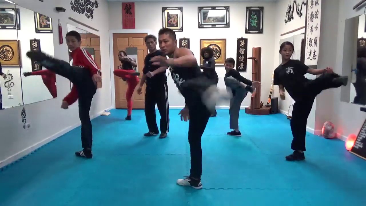 Freddie's Modern Kung Fu - PANTHER FORM - 38 Kung Fu Kicks - YouTube