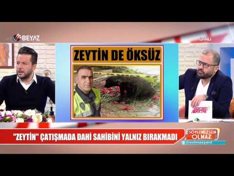 Kahraman polis Fethi Sekin'in köpeği çatışmada dahi sahibini yalnız bırakmadı