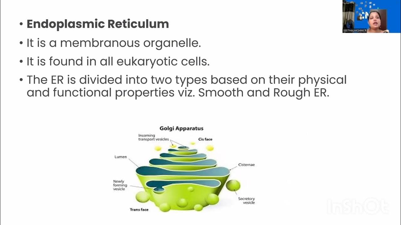 8thCBSE Biology Chapter 8 Part 3 Cell:Structure and Functions #biology ...
