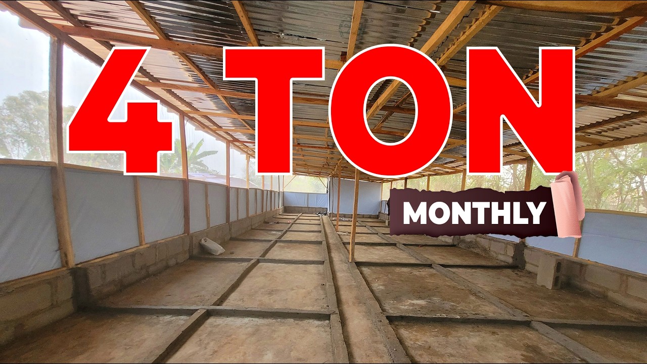How We Built a 4-Ton BSF Facility | Complete Step-by-Step Guide - YouTube