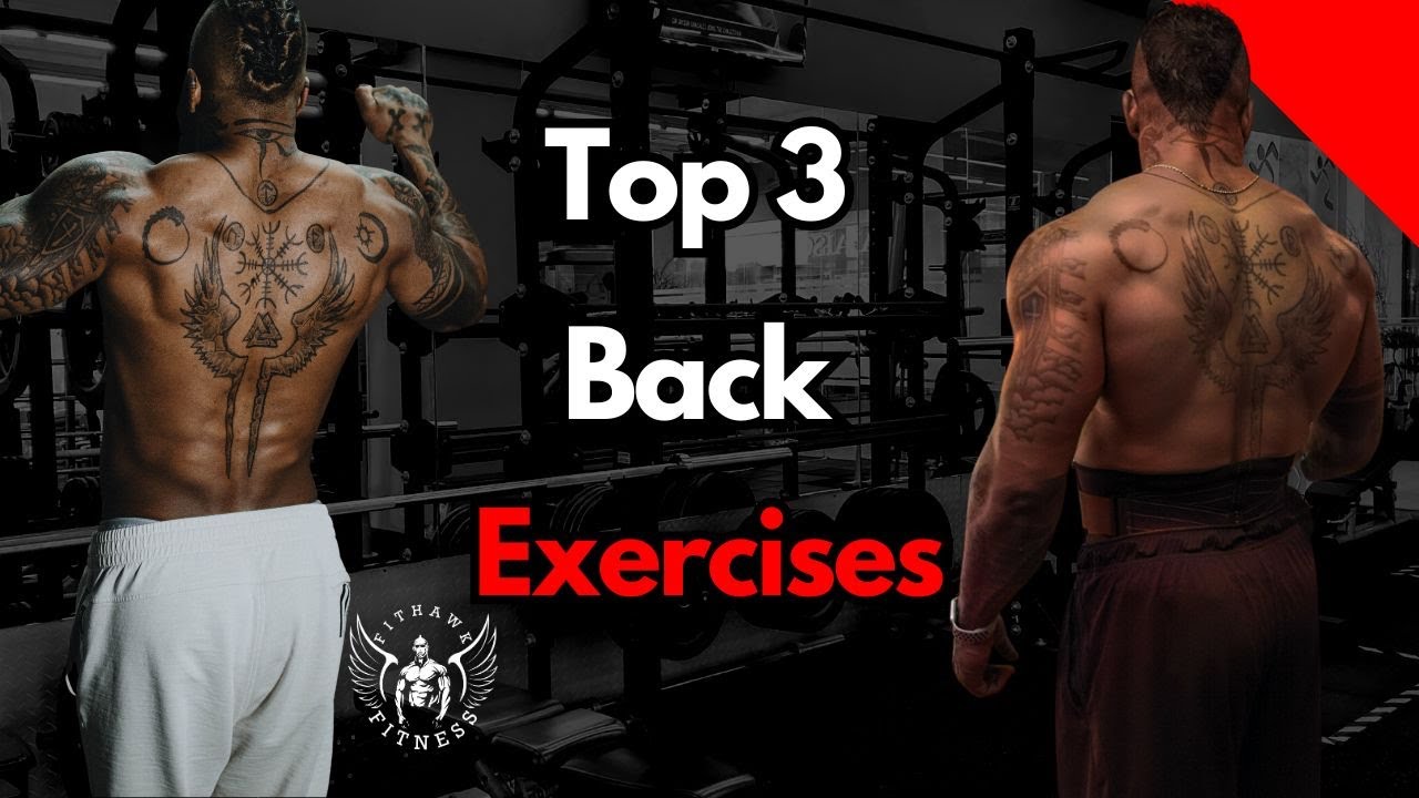 If You Could Only Do 3 Back Exercises This Is What You Should DO! | Top ...