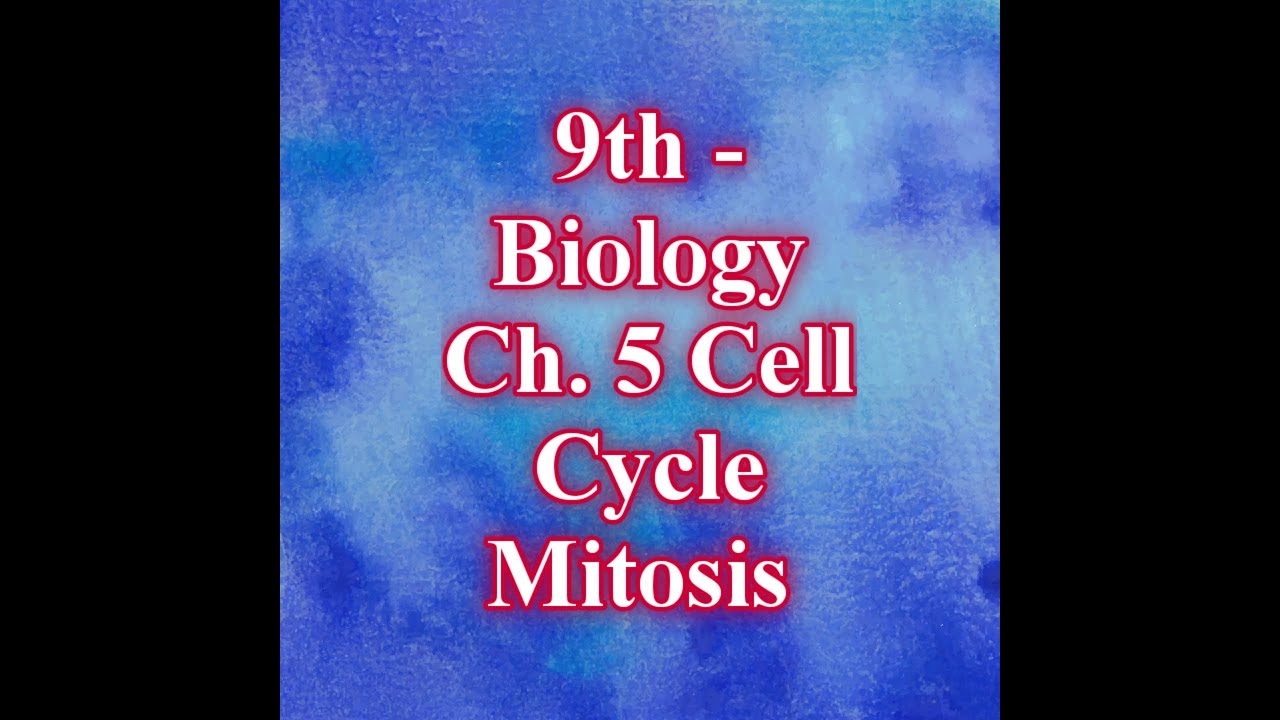 Mitosis and its phases || Class 9 || Biology || Ch:5 Cell Cycle - YouTube