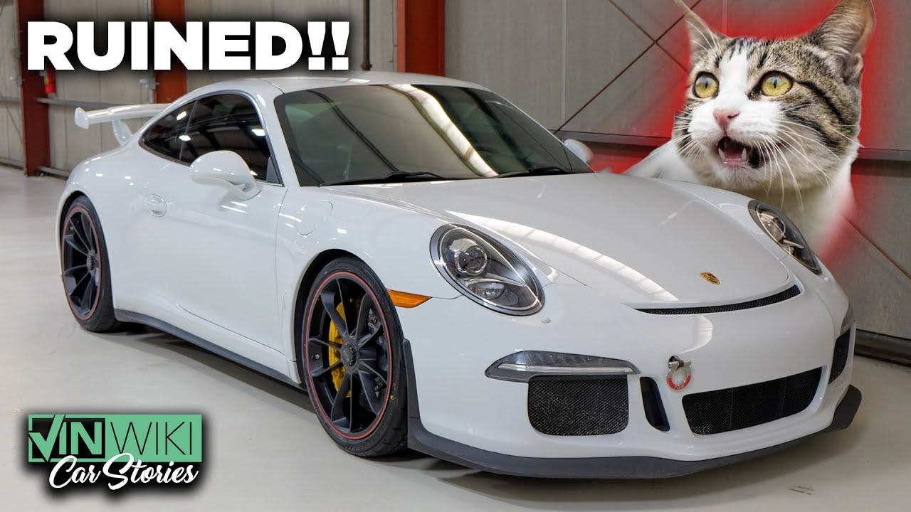 How a cat destroyed my GT3… - YouTube