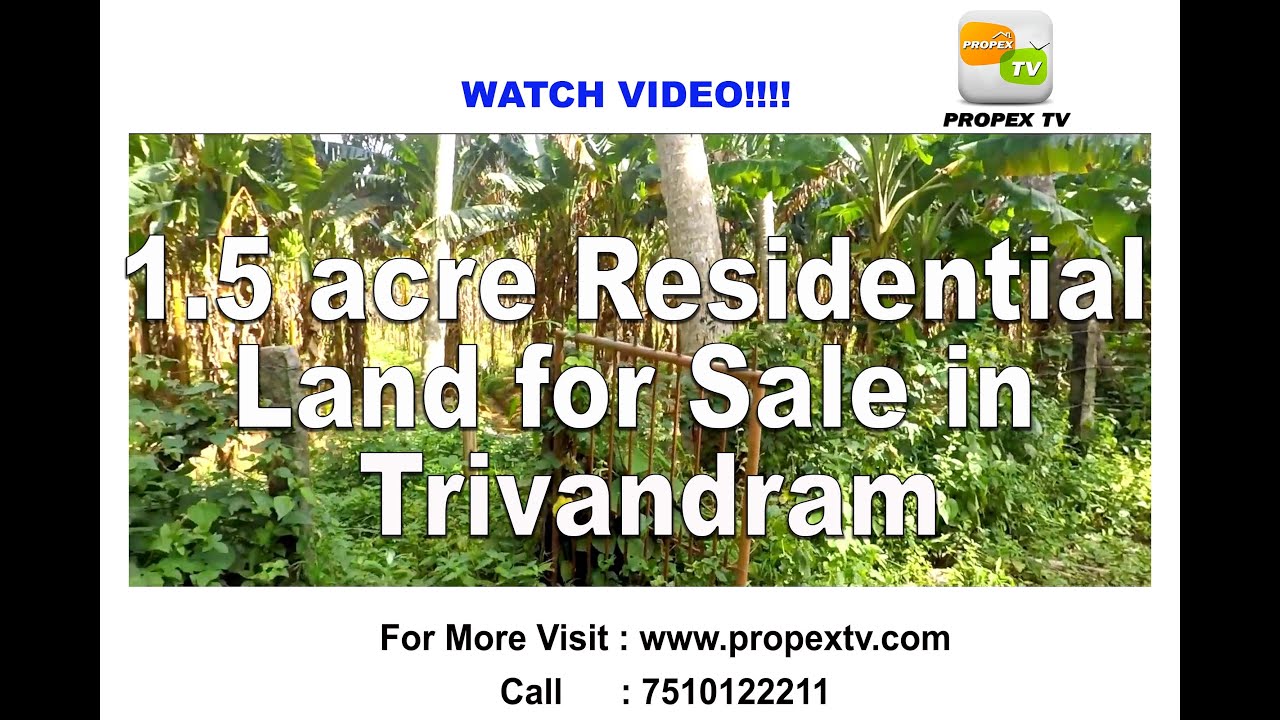 For Sale Sajo Farms at Michelle Ma blog