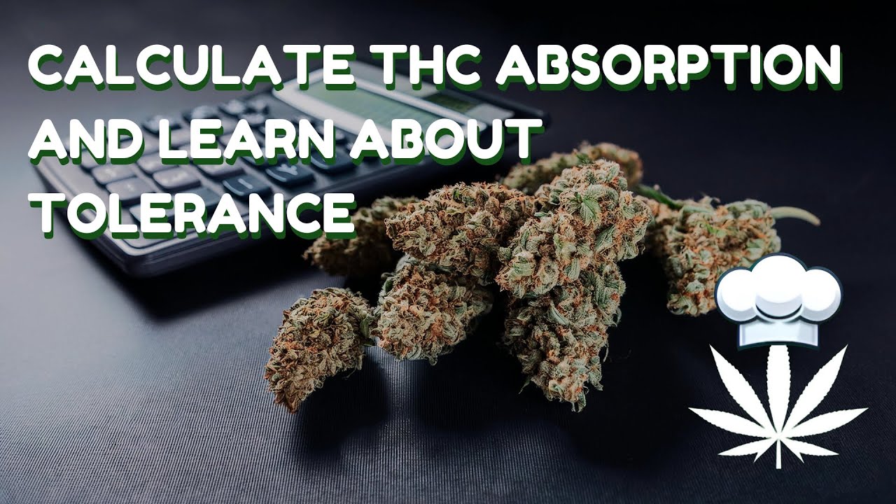 Simple Guide: THC Absorption Calculation and Tolerance - YouTube