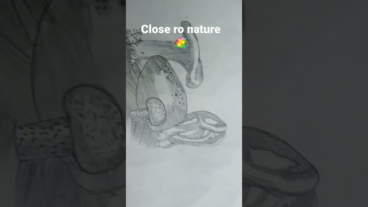 nature transformation | transformation #art #arte #artist #artwork # ...