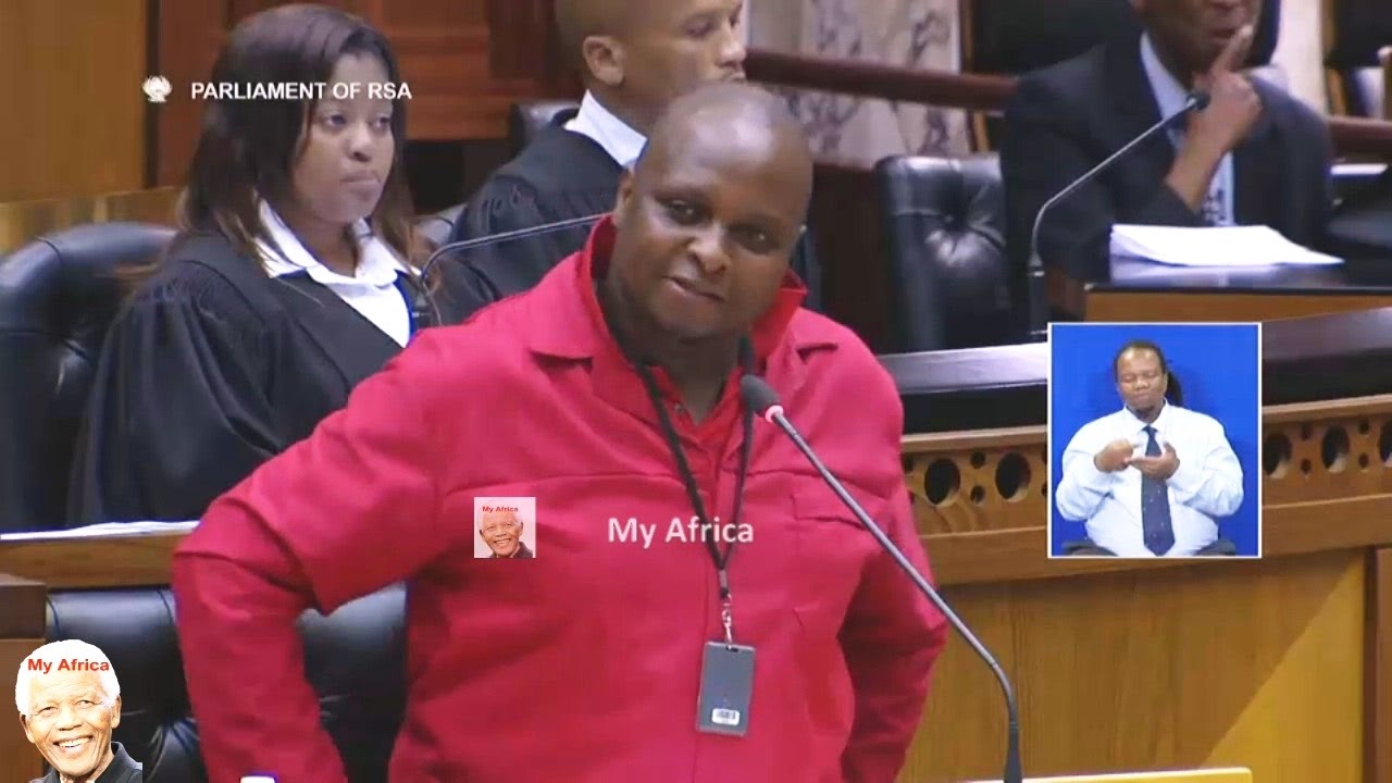 Floyd Shivambu EFF Giving Free Education And Advice To Parliament - YouTube