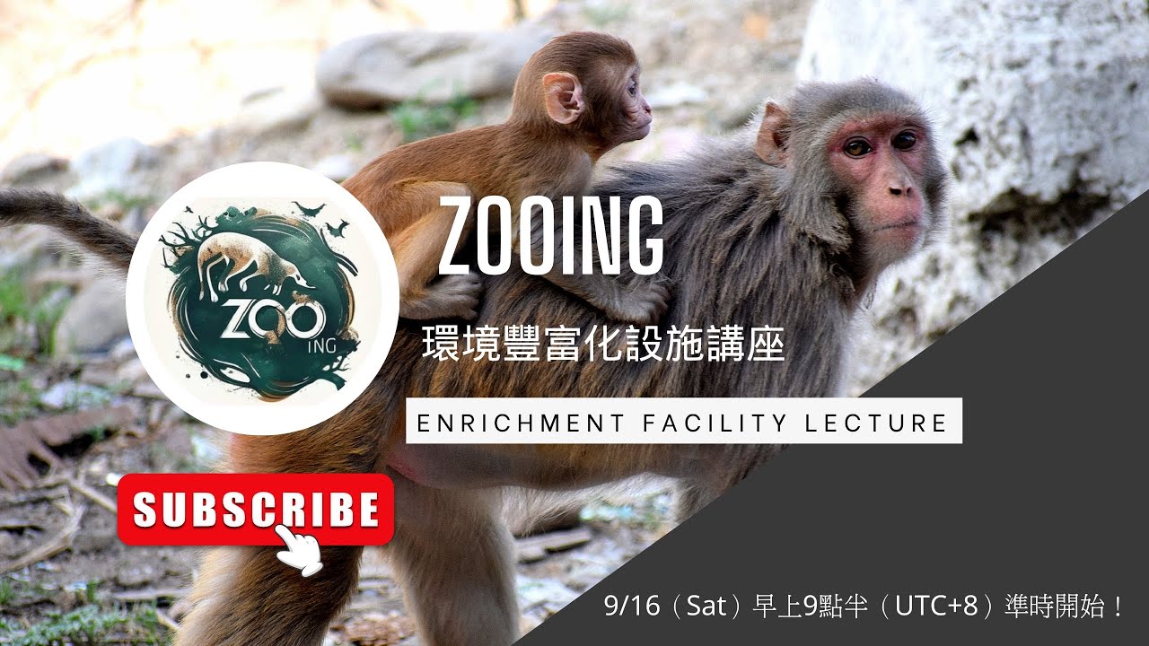 Zooing 豐富化設施工作坊 - YouTube